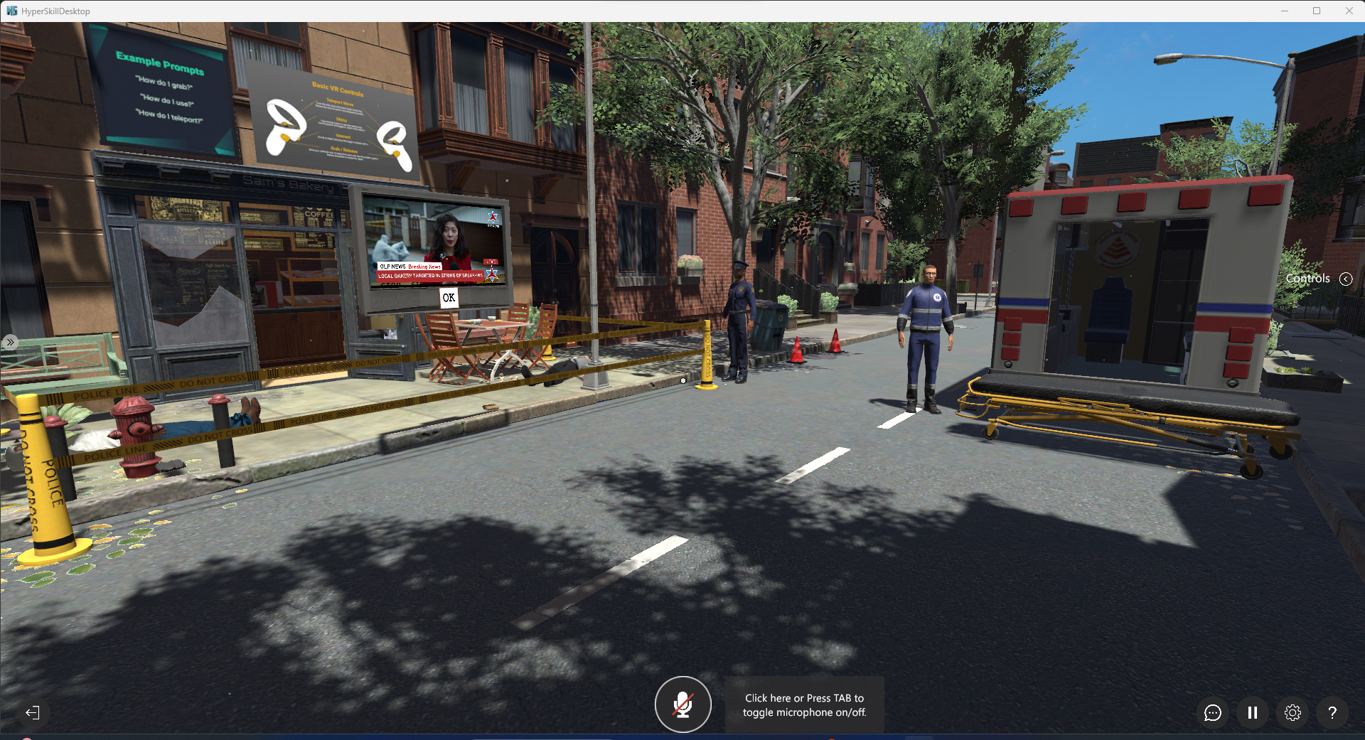 Skillful - SimInsights